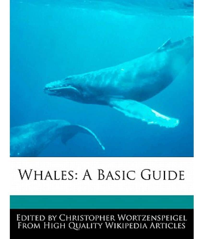 Whales: A Basic Guide: Buy Whales: A Basic Guide Online at Low Price in ...