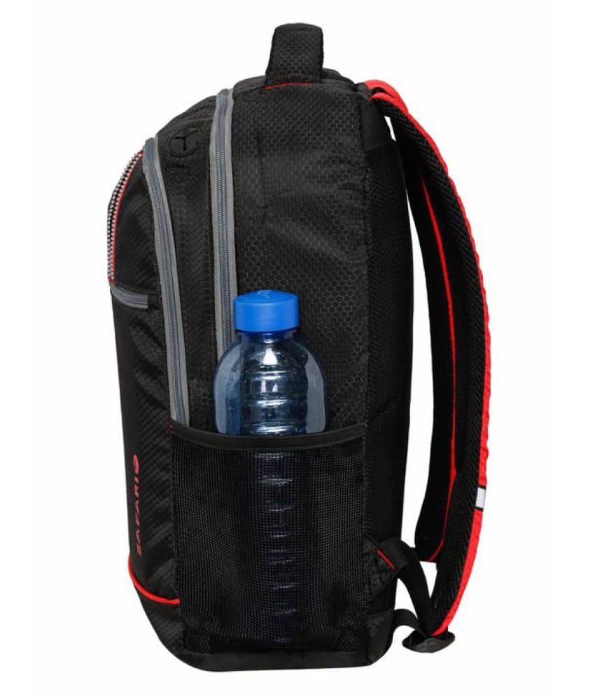 Safari Black Backpack - Buy Safari Black Backpack Online at Low Price ...