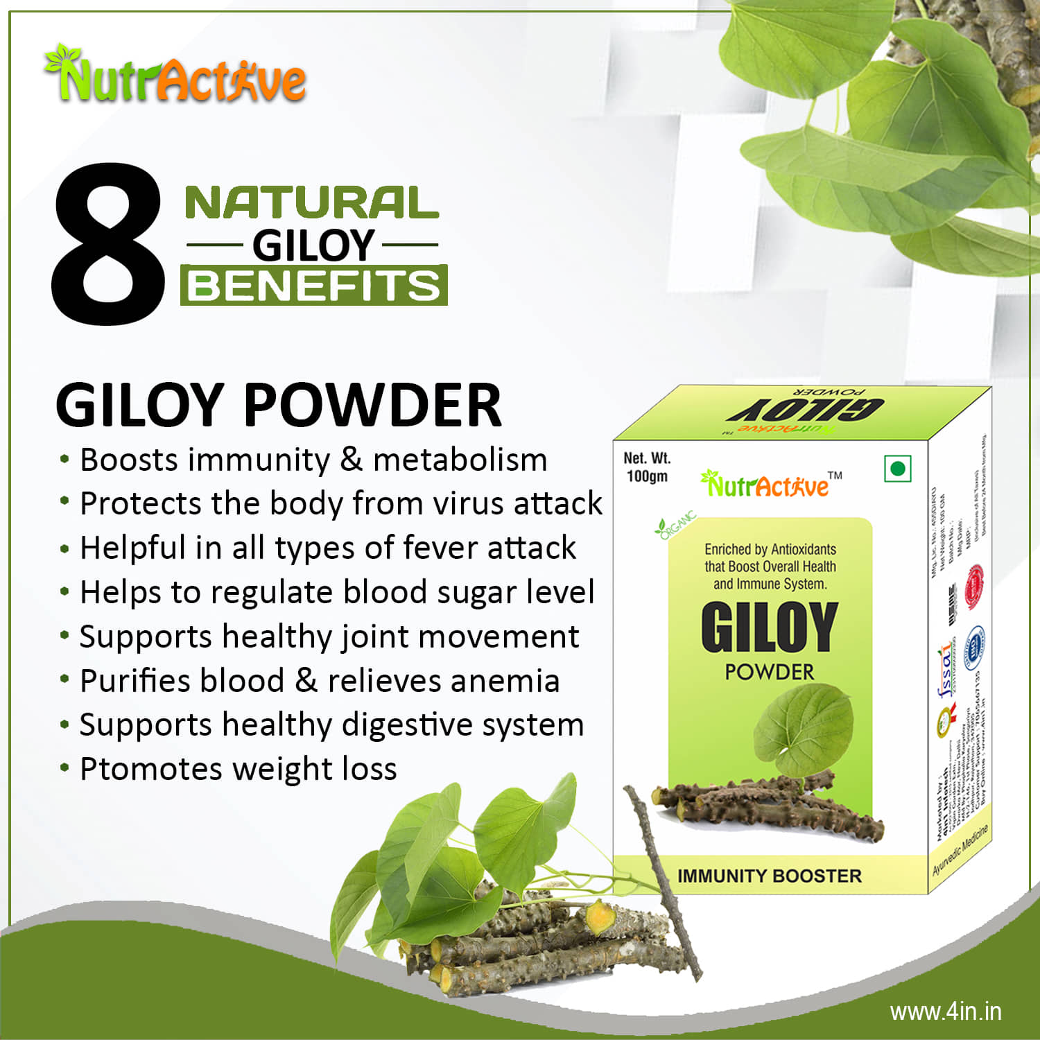NutrActive Giloy Powder 100 gm Pack Of 4: Buy NutrActive Giloy Powder ...