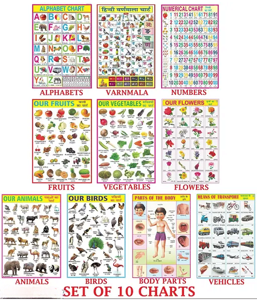 Jumbo English And Marathi Alphabet And Number Charts For List Of